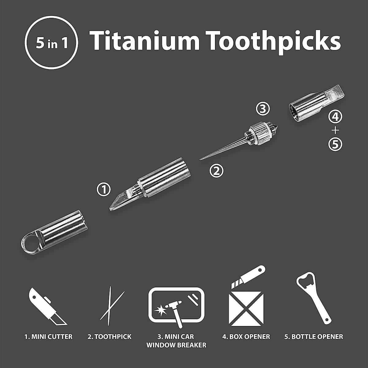 Titanium Toothpick with Holder, 100% Titanium Alloy Keychain Toothpick,Titanium EDC toothpick Tools 5-in-1, Bottle Opener, Box Opener, Mini Cutter, Car Window Breaker, Titanium Gifts for Men and Women