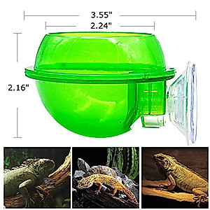 MACGOAL 3 Pieces of Reptile Suction Cup Feeder Chameleon Bowl Reptile Food and Water Bowl Dish Reptile Worm Dish Escape Proof, Suitable for Crested Gecko Tree Frog Chameleon Lizard Bearded Dragon