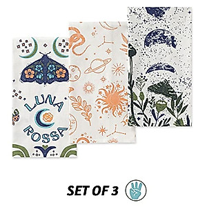 Folkulture Kitchen Towels with Hanging Loop, Set of 3-100% Cotton Kitchen Towels and Dishcloths Sets, Farmhouse Dish Towels or Tea Towels, 20 x 26 inches (Luna Rosa)