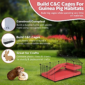 Plastic Ratchet Rivets - .73 in x .41 in (18.7 mm x 10.5 mm) - Construct Coroplast Guinea Pig or Hedgehog Habitats use for C&C Cages (Pack of 200) by Snout and Shell