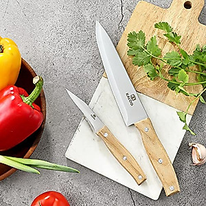 KL KALOO 2PCS Kitchen Knives, 8 inch Chef's Knife and 3.5 inch Paring Knife, Professional Chef Knife with German Stainless Steel Blade and Wooden Handle