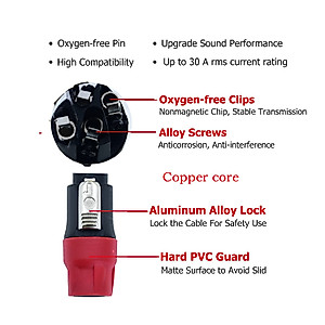 2Pcs Professional Speakon to 1/4 Inch ts 1/4" Mono Gold-Plated 6.35mm Adapter Speaker Cable for pa Jack Pair Male Audio Port Plug Amplifier Connection dj amp Heavy Duty bocina Cord Wire ft(10 feet)