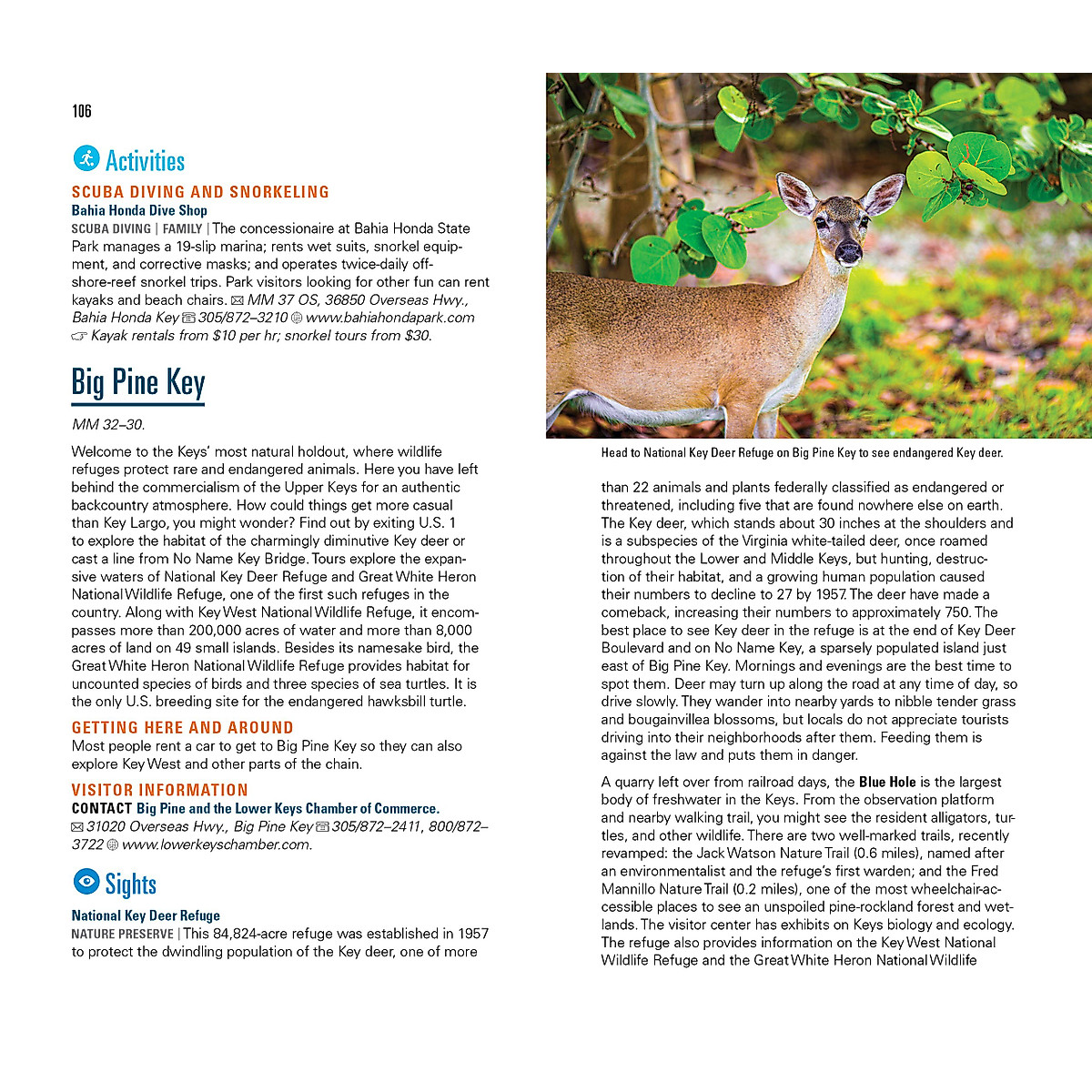 Fodor's In Focus Florida Keys: with Key West, Marathon and Key Largo (Full-color Travel Guide)