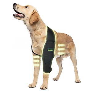 KISFLY Dog Elbow Brace for Canine Elbow and Shoulder Support Osteoarthritis Shoulder Dislocation Elbow Calluses Pressure Sores,Dog Elbow Protector Prevent Licking Wound Left Leg XL