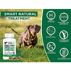 New Zealand - Green Lipped Mussel for Dogs - 1325mg 90 Caps - Hip & Joint Supplement for Dogs & Arthritis Relief for Dogs - GMO & Gluten Free