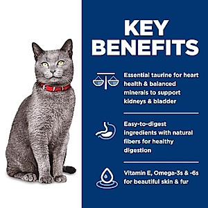 Hill's Science Diet Adult 7+, Senior Adult 7+ Premium Nutrition, Dry Cat Food, No Corn, Wheat, Soy Chicken & Brown Rice, 7 lb Bag