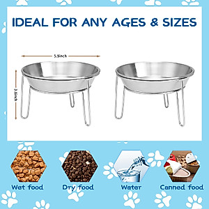 Elevated Cat Bowls Stainless Steel, 5.9 Inch Wide Raised Cat Bowls with Metal Stand Whisker Friendly, 2 Pack Anit-Vomiting Elevated Cat Food and Water Bowl Set for Cats, Kittens and Small Dogs