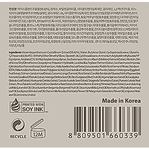 BLITHE Pressed Serum Crystal Iceplant Redness Relief Moisturizer - Hydrating Face Serum with Eucalyptus Extract, Korean Rosacea Moisturizer for Face & Oily Skin, Minimalist Kbeauty Skincare 0.74 Fl Oz