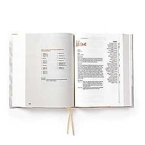 CSB Lifeway Women's Bible, Camel Cloth Over Board, Black Letter, Single-Column, Wide-Margins, Devotions, Articles, Word Studies, Character Profiles, Easy-to-Read Bible Serif Type