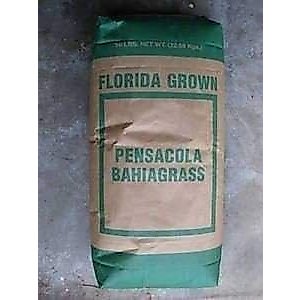 SeedRanch Pensacola Bahia Grass Seed - 1 Lb