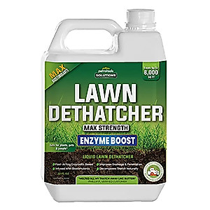 PetraTools Liquid Dethatcher (32oz) and Liquid 16-4-8 Lawn Fertilizer (32 oz)