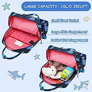 Kasqo Kids Backpack, Lightweight Water Resistant Preschool Toddler Bookbags for Little Boys and Girls with Chest Strap, Cute Shark