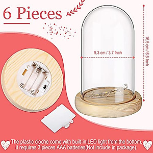 Remerry 6 Pieces Plastic Cloche Dome Plastic Dome Display Case with Rustic Wood Base and LED Fairy Light Jar for Rose Valentine's Day Wedding Tabletop Centerpiece Decoration, 6.5 x 3.7 Inch