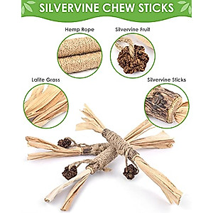 TINDTOP Catnip Balls & Silvervine Sticks Kit, Natural Catnip Toys for Kittens Teeth Cleaning, Matatabi Dental Care, Increase Appetite, Calm Cat Anxiety and Stress, Aggressive Chewers Cat Dental Toy