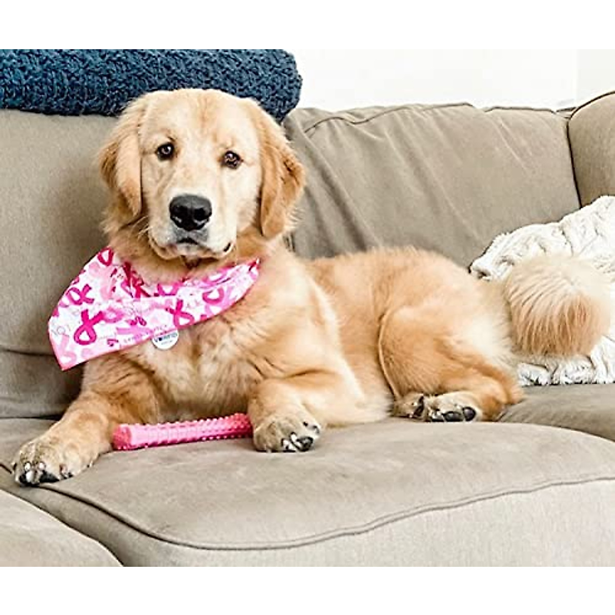 Nylabone Power Chew Textured Pink Breast Cancer Awareness Chew Toy - Tough and Durable Dog Bone for Aggressive Chewers - Chicken Flavor, X-Large/Souper (1 Count)