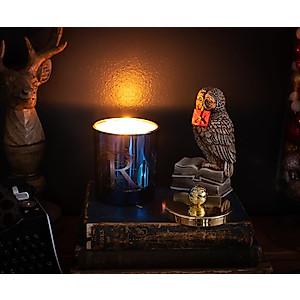 Harry Potter House Ravenclaw Premium Scented Soy Wax Candle with Unique Aromatic Fragrance | 50-Hour Burn Time | Home Decor Housewarming Essentials, Wizarding World Hogwarts Gifts and Collectibles