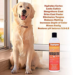 Panagenics | Pet Shampoo - Safe for ALL animals, Unscented, Contains Citrus and Aloe Active Ingredients - 16 ounce bottle