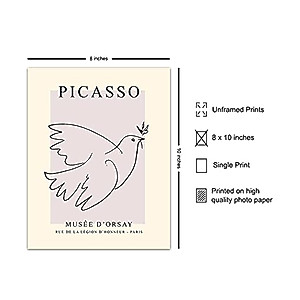 Pablo Picasso Wall Art & Decor - Pablo Picasso Poster 8x10 - Picasso Wall Art - Dove of Peace Picasso - Pablo Picasso Prints - Gallery Wall Art - Museum Poster - The Impressionists Decor - Pink