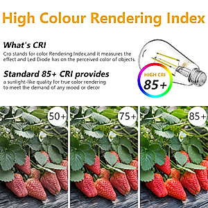 VOOSEI Daylight Bulbs 4000K LED E26 60W Dimmable, 6W Equivalent to 60W Edison High Brightness ST58 Antique Filament Bulbs Clear Glass Pack of 6