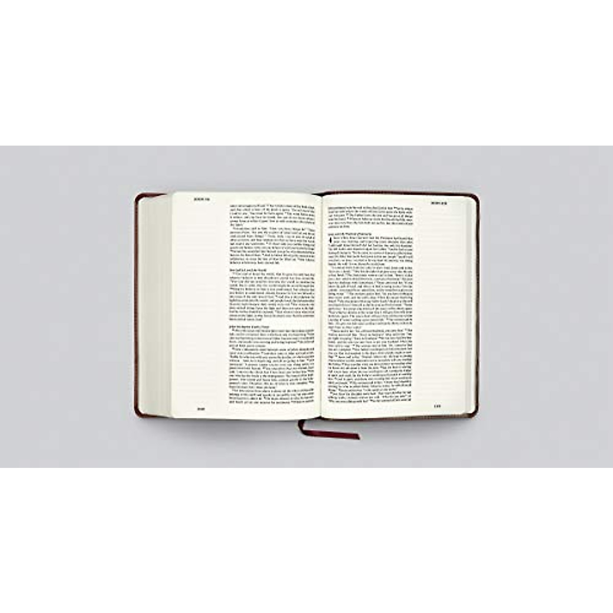 ESV Single Column Journaling Bible, Large Print (TruTone, Burgundy/Red, Timeless Design)