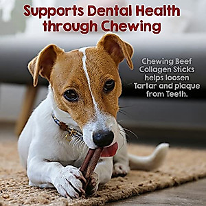 Riley's 6 Inch Beef Collagen Sticks for Dogs - Collagen Chews for Dogs - Bully Stick & Rawhide Alternative Dog Chews Long Lasting - No Raw Hide Dog Chews - Single Ingredient Dog Treat - 5 ct