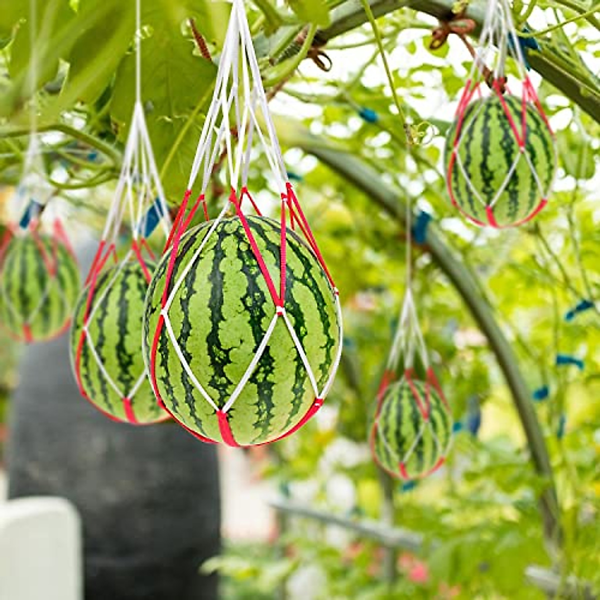 20 Pack Melon Hammocks Cradles, Melon Hammock for Trellis Heavy Duty Watermelon Nets, Pumpkin Support Hanging Bags for Growing Cantaloupes Honeydew in Vertical Garden (Red & White)