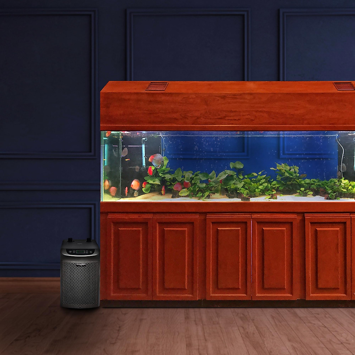 Active Aqua Hydroponic Water Chiller Cooling System with Remote Control and Freestanding Mounting type for Home and Kitchen, Black