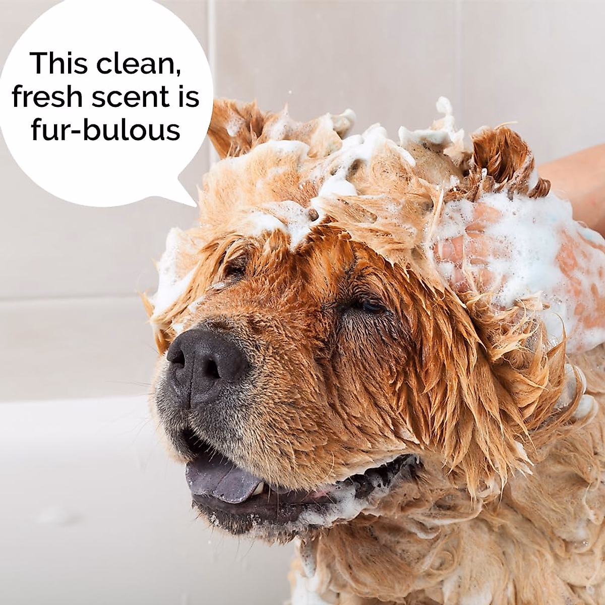 Rosen Apothecary 6-in-1 Itch Relief Dog Shampoo - Tearless Shampoo for Dogs Cleanses, Soothes, Refreshes and Moisturizes While Offering Itch Relief, 480ml