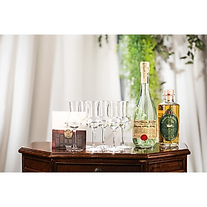 Crystal Grappa and Cordial Glasses | Set of 6 | Small 3 oz Long Stemmed Spirit Glassware for Liqueur, After Dinner Drink, Aperitif, Digestive | Tulip Shaped Liquor Stemware for Nosing, Sipping