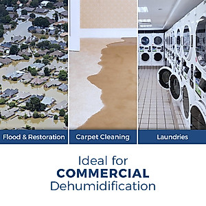 ALORAIR Commercial Dehumidifier 113 Pint, with Drain Hose for Crawl Spaces, Basements, Industry Water Damage Unit, Compact, Portable, Auto Defrost, Sentinel HD55