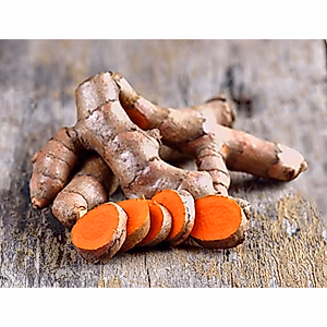 8 Turmeric Roots Curcuma Longa for Planting Indoor Outdoor Ornaments Perennials Garden Growing Can Grow Well Pot