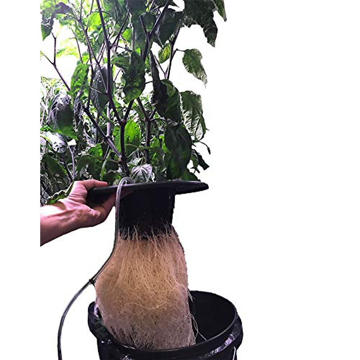 Viagrow 6 inch Wide Lip Bucket Basket Lid, (6 Pack), 5 and 3.5 Gallon DWC Bucket Net Pots