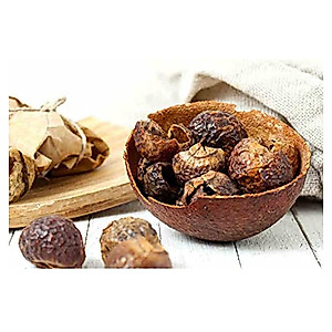 AnNafi® Reetha | Organic Soap Nuts | Aritha/Areetha/Kunkudukaialu | Sapindus used for making Reetha Powder, Ritha Shampoo, Oil | Natural Hair Care & Growth | Organic Laundry Detergent (100grams)