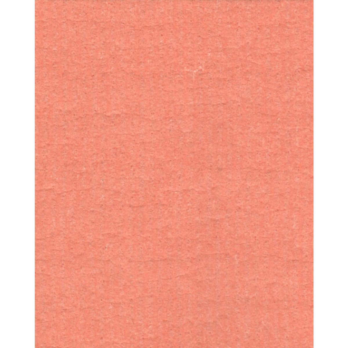 Trendy Tripper Swedish Dishcloths Reusable | Washable | Compostable | Made in Germany | Packaged USA | 6 Packs (6 DIFF Bright Colors)