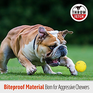 FOFOS Dog Balls Tennis Ball Chew Toy for Aggressive Chewers Large Medium Dog