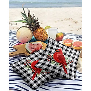 Vandarllin Outdoor Throw Pillows Covers 20X20 Set of 2 Waterproof Red Cardinals Decorative Zippered Lumbar Cushion Covers for Patio Furniture, White Black Buffalo Check Plaid