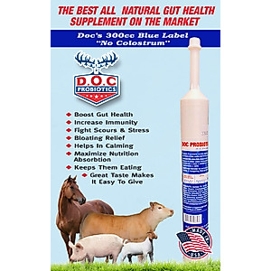 DOC PROBIOTIC Paste 300 CC Tube w/Live Micro Encapsulated Livestock Probiotics Goats, Cows, Horses Sheep, Pigs, Deer