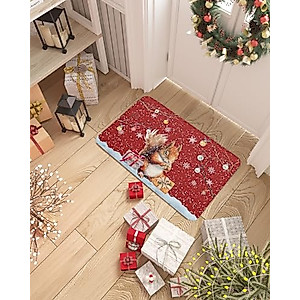 Christmas Bath Rugs Squirrel Xmas Ball Branch Sponge Doormat Absorbent Non Slip Backing Durable Soft Flannel Mat Snowflake Snow Red Christmas Memory Foam Mats Carpet for Bathroom Kitchen, 18 x 30 inch