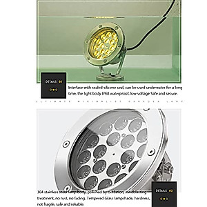 TWXG Colored with Remote Pool Light IP68 Waterproof Stainless Steel Underwater Lights Submersible Night Lamp DC 12V 24V Outdoor Garden Swimming Pool Fountain Lights