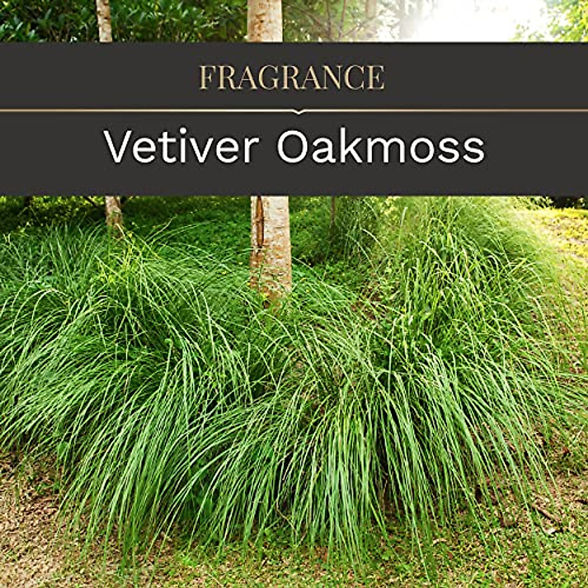 CLCo. by Candle-Lite Company Vetiver Oakmoss Single-Wick Scented Jar Candle, 14 oz, White