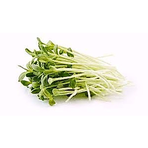 Nature Jims Sprouts Sunflower Seeds - Certified Organic Black Oil Sunflower Sprouts for Soups - Raw Bird Food Seeds - Non-GMO, Chemicals-Free - Easy to Plant, Fast Sprouting Sun Flower Seeds - 8 Oz