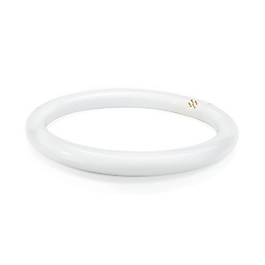 Philips 391177 Circline Fluorescent 32-Watt 12-Inch T9 Cool White Light Bulb