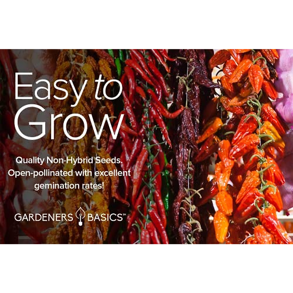 Hot Pepper Seeds For Planting Ghost Habanero - 5 Varieties Pack Ghost Pepper Seeds, Red, Orange, Yellow, White Habanero Seeds For Planting In Garden Non Gmo, Heirloom Peppers Seeds By Gardeners Basics