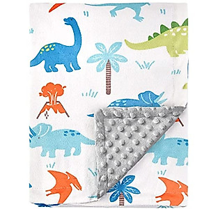 HOMRITAR Baby Blanket for Kids Super Soft Minky Blanket with Dotted Backing, Toddler Blanket with Dinosaurs Multicolor Printed 30 x 40 inch(75x100cm)