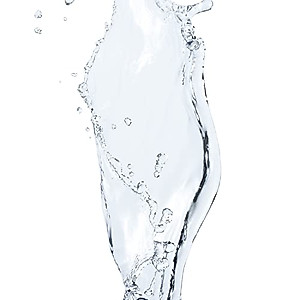 L’Oréal Paris Elvive Dream Lengths Curls No Build-Up Micellar Shampoo, Sulfate-Free, Silicone-Free, Paraben-Free with Hyaluronic Acid and Castor Oil. Best for curly hair to coily hair, 16.9 fl oz