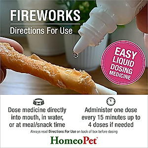HomeoPet Fireworks, Safe and Natural Loud-Noise Anxiety Relief for Dogs, Cats, and Other Small Animals, Calming Care, 15 Milliliters