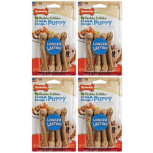 Nylabone Healthy Edibles Puppy Lamb Bone Dog Treat Size: Petite