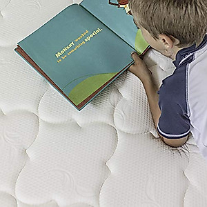 Excel Sleep - 8" Innerspring Mattress (60x75 RV/Camper Short Queen)