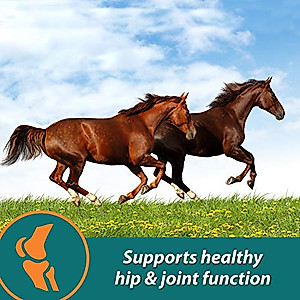 Farnam Next Level Joint Pellets, 3.875 lbs