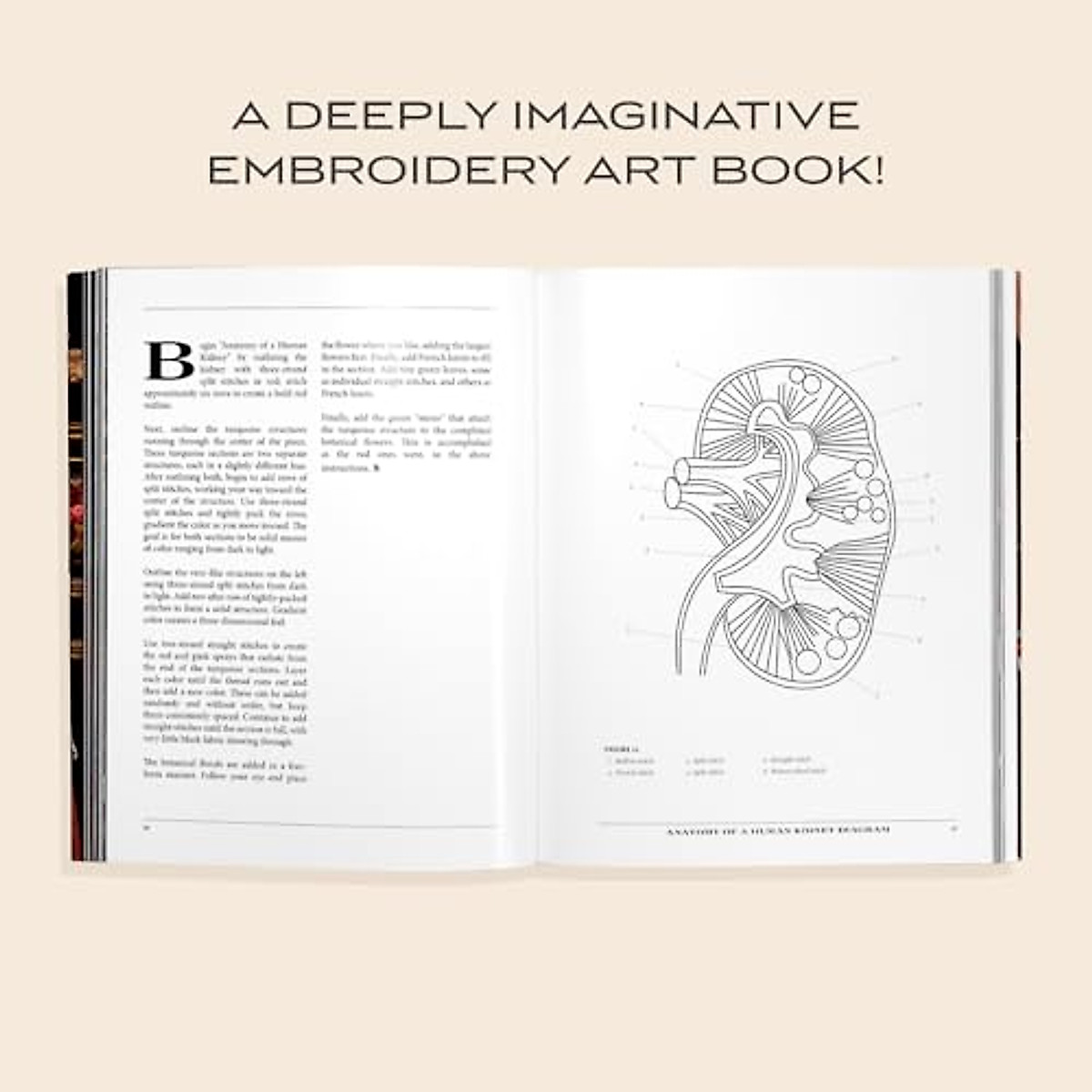 Stitchcraft: An Embroidery Book of Simple Stitches and Peculiar Patterns